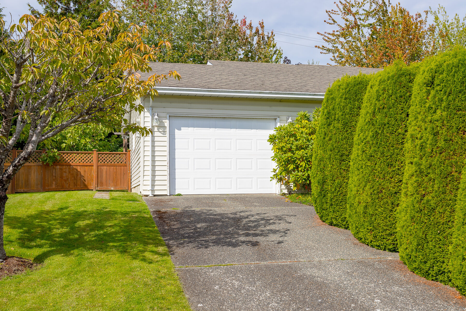 6-2558 Ferguson Rd - Multimedia Showcase