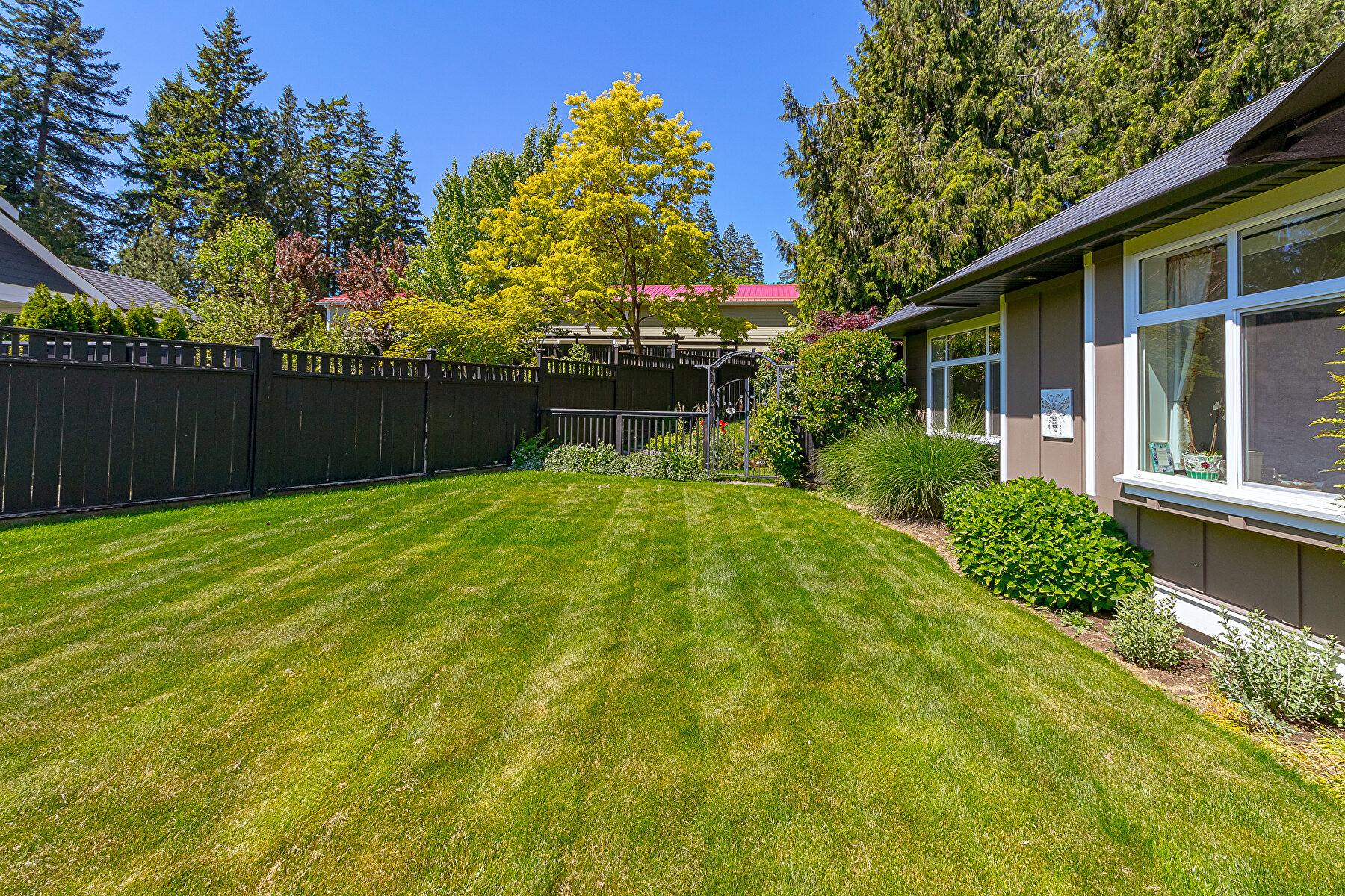 1407 Turner Lane - Multimedia Showcase